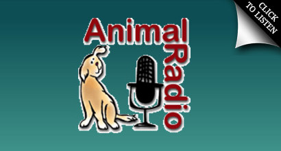 In The News – DeafDogsRock.com – Deaf Dogs Rock