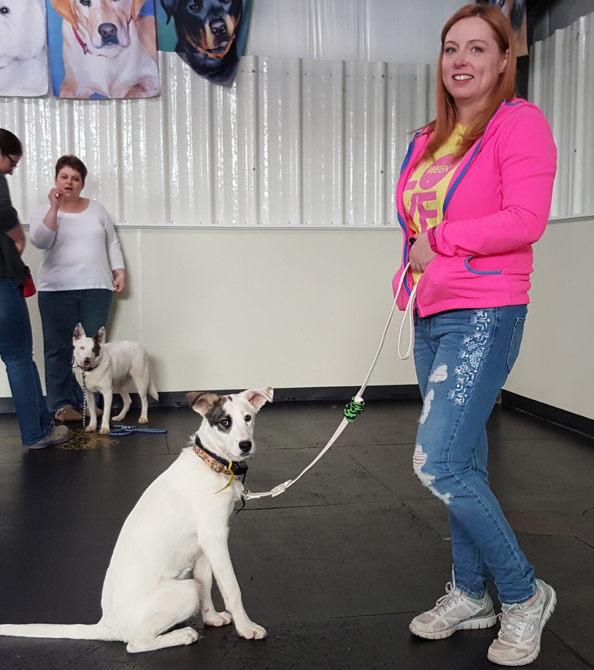 Vibration Collars for Deaf Dogs – Deaf Dogs Rock