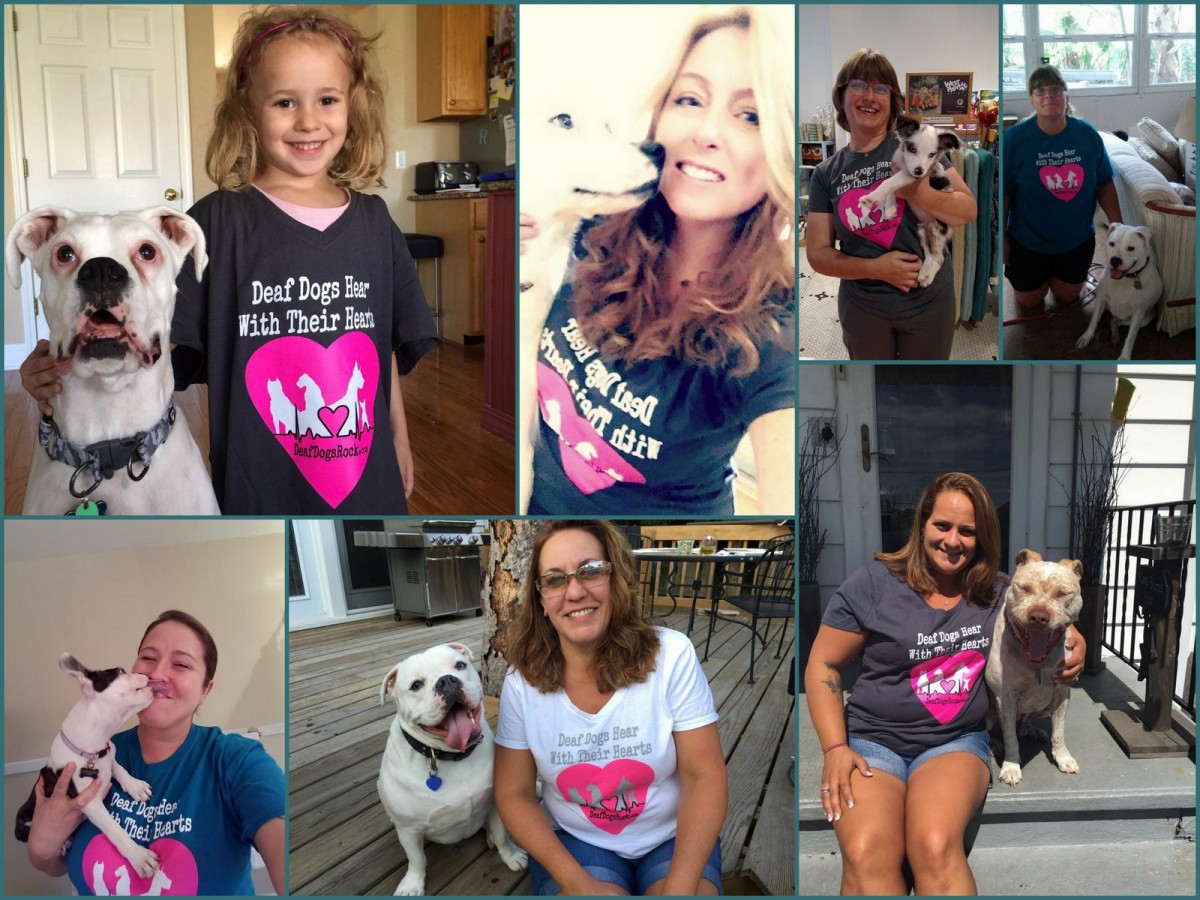 10 Reasons Why Deaf Dogs Rock – Deaf Dogs Rock