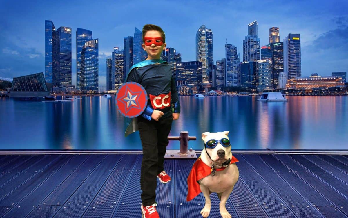 Deaf Dog Cole Promotes Acceptance and Awareness – Deaf Dogs Rock