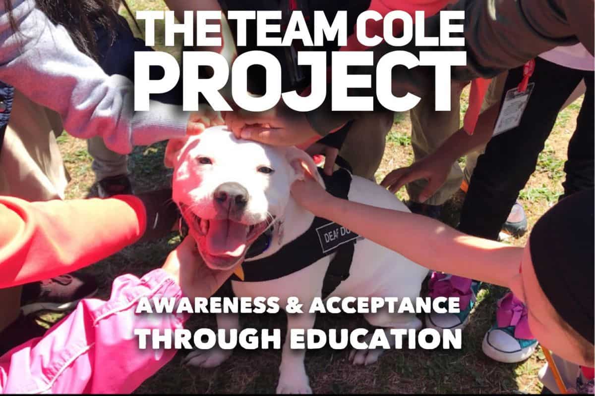 Deaf Dog Cole Promotes Acceptance and Awareness – Deaf Dogs Rock