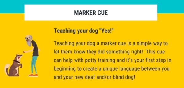 Deaf – Blind Dog Training – Time To Create Your Own Morse Code – Deaf Dogs Rock