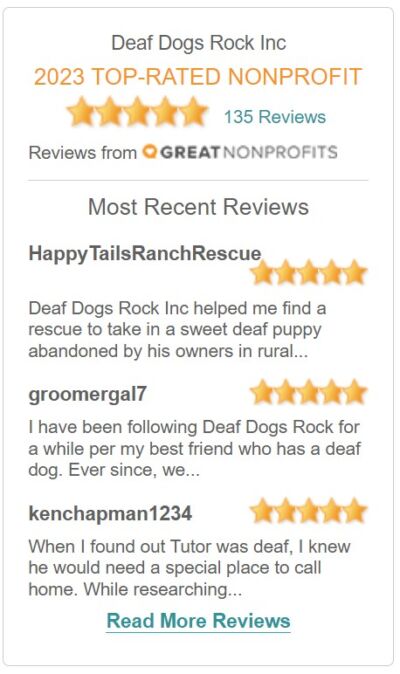 Deaf Dogs Rock – Sharing our passion for the love and care of deaf dogs.