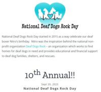 10 Reasons Why Deaf Dogs Rock – Deaf Dogs Rock